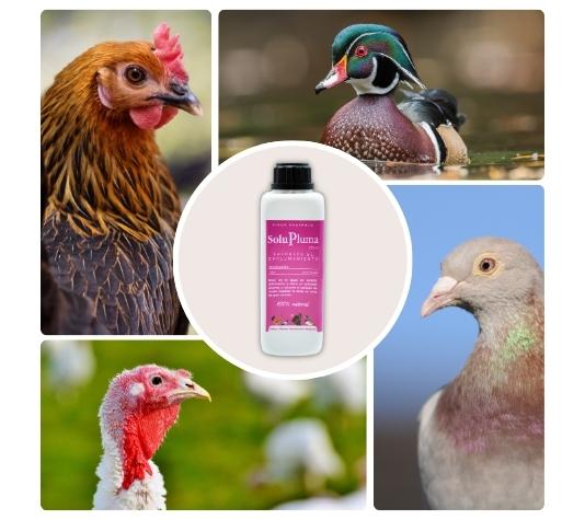 SoluPluma – Bienestar del plumaje y apoyo durante la muda | Finca Casarejo