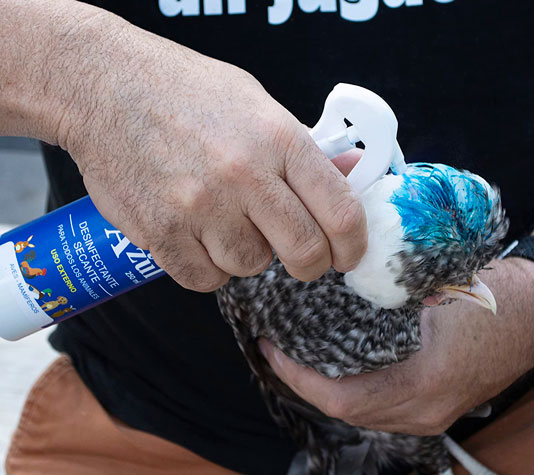 Spray Azul Para Heridas en Animales: Desinfecta y Seca | Finca Casarejo