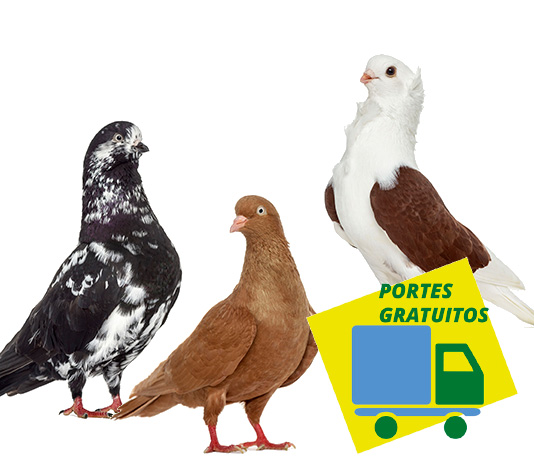 Animales jóvenes desde 22€ · Finca Casarejo