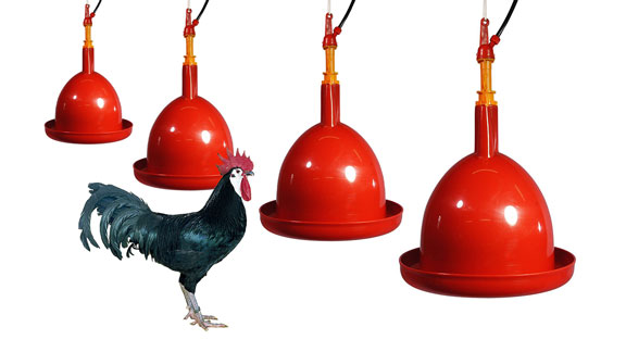 Bebedero Automático de Campana Para Aves de Corral
