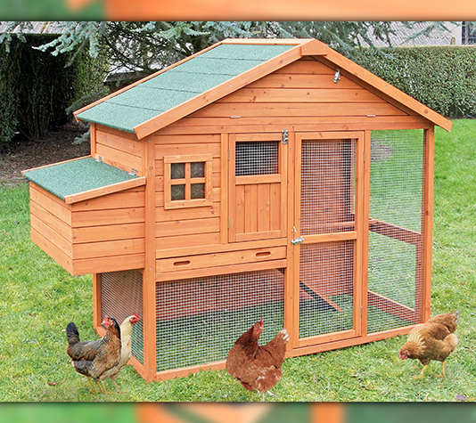 Gallinero Dakota de madera para 4 o 6 gallinas tipo chalet | Finca Casarejo