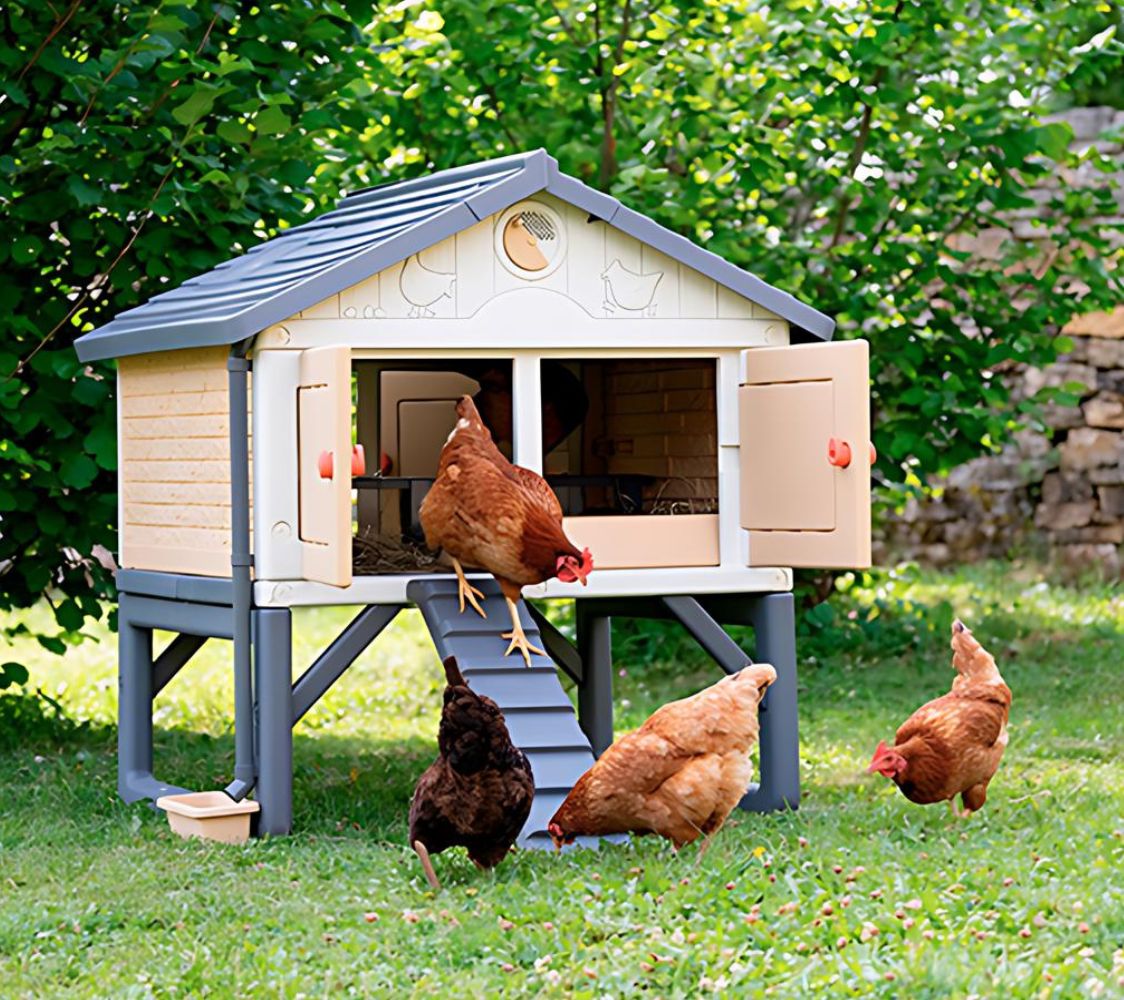 Gallinero Infantil Para Exterior: Capacidad 5 Gallinas | Finca Casarejo