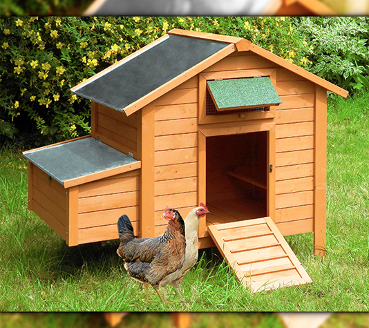 Gallinero de madera Island Premium apto para 6-7 gallinas | Finca Casarejo