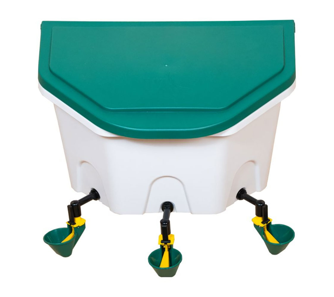 Bebedero de Pared con Depósito para Gallinas | Agua Limpia y Fresca | Finca Casarejo