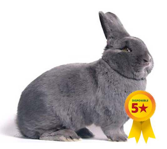 Azul vienes | Finca Casarejo