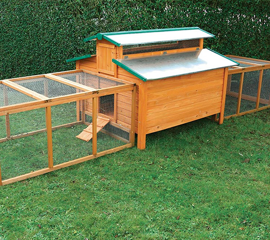 Gallinero Calgary para gallinas de puesta, con 4 ponederos | Finca Casarejo