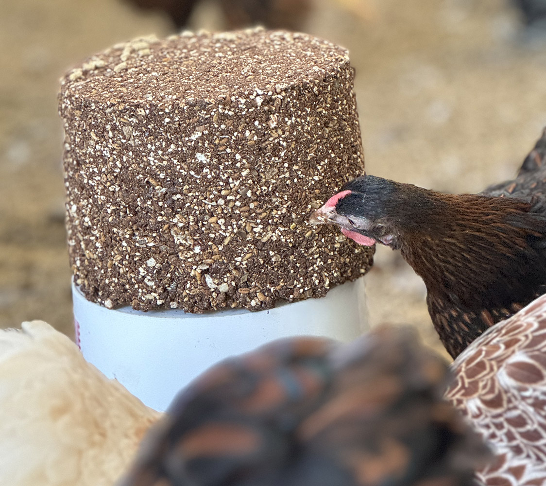 Bloque de minerales para aves | Finca Casarejo