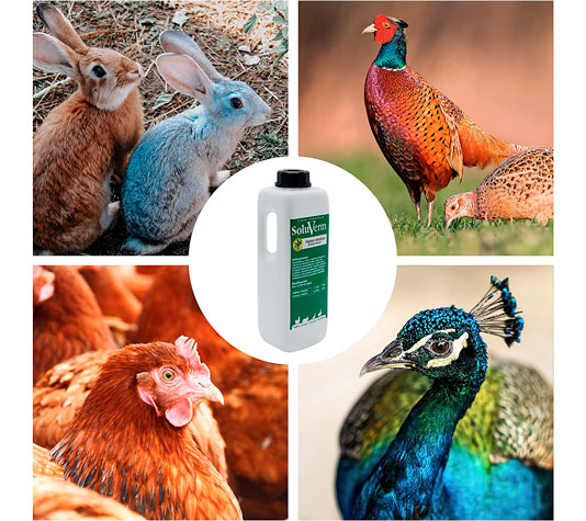 SoluVerm - Apoyo digestivo natural para aves y conejos | Finca Casarejo