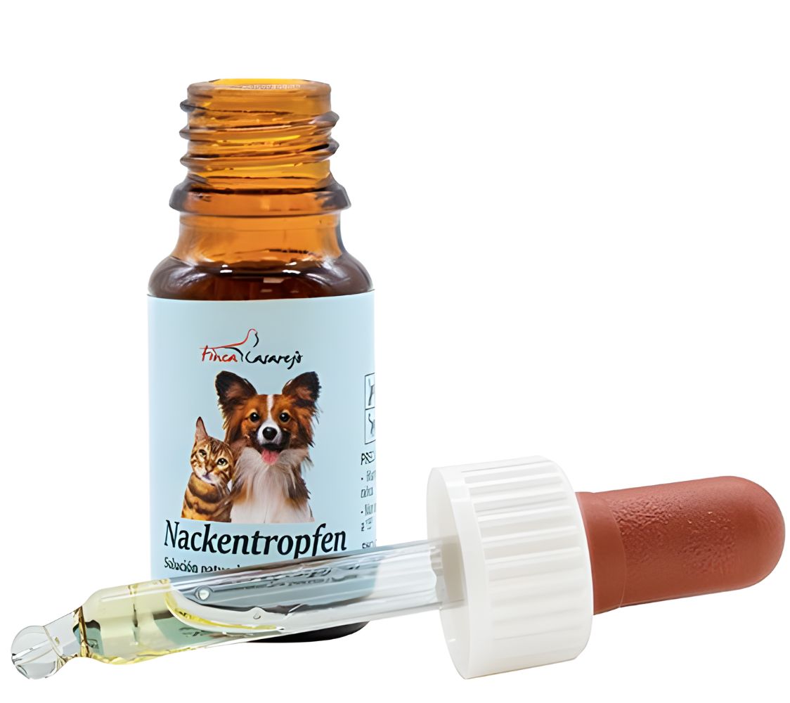 Pipeta Contra las Pulgas y Parásitos en Perros y Gatos | Finca Casarejo