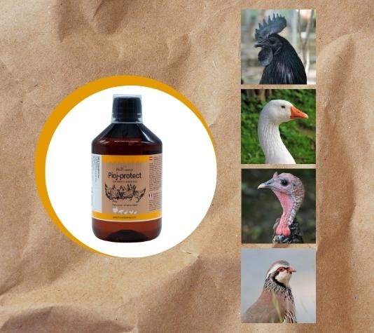 PiojProtect - gallinero bajo control | Finca Casarejo