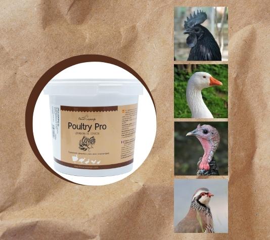 Poultry Pro – Complemento nutricional para aves | Finca Casarejo